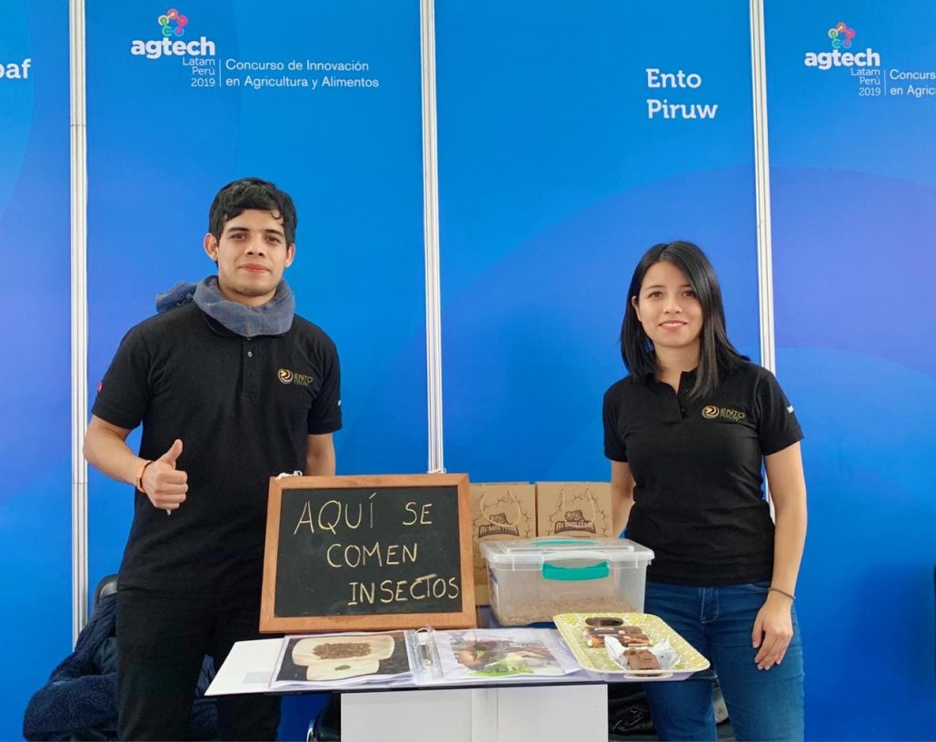 La 'startup' peruana Ento Piruw recibe premio a la innovación ...