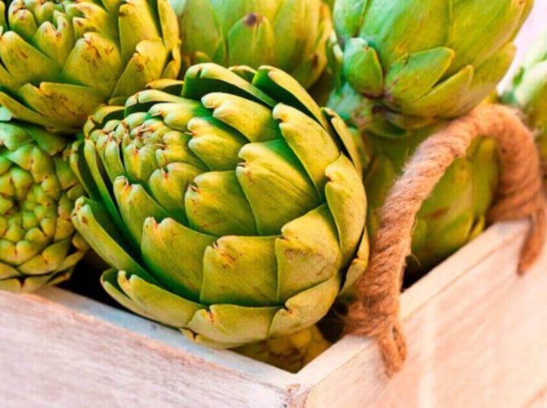 Investigación confirma que la cinarina, un principio activo de la ...