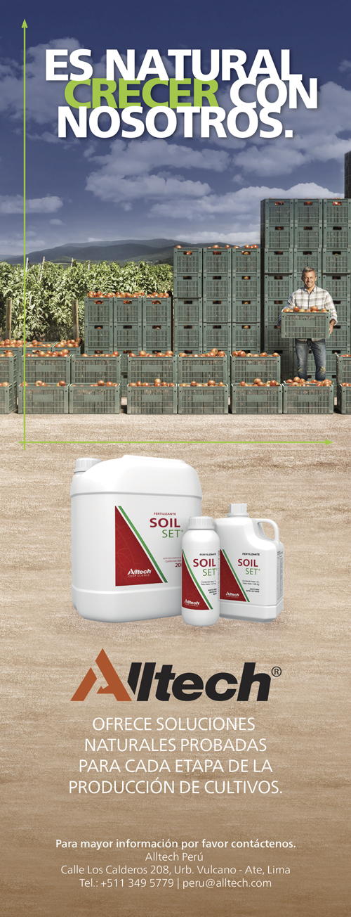 Enfermedades y plagas ponen a prueba a los arandaneros - Redagrícola