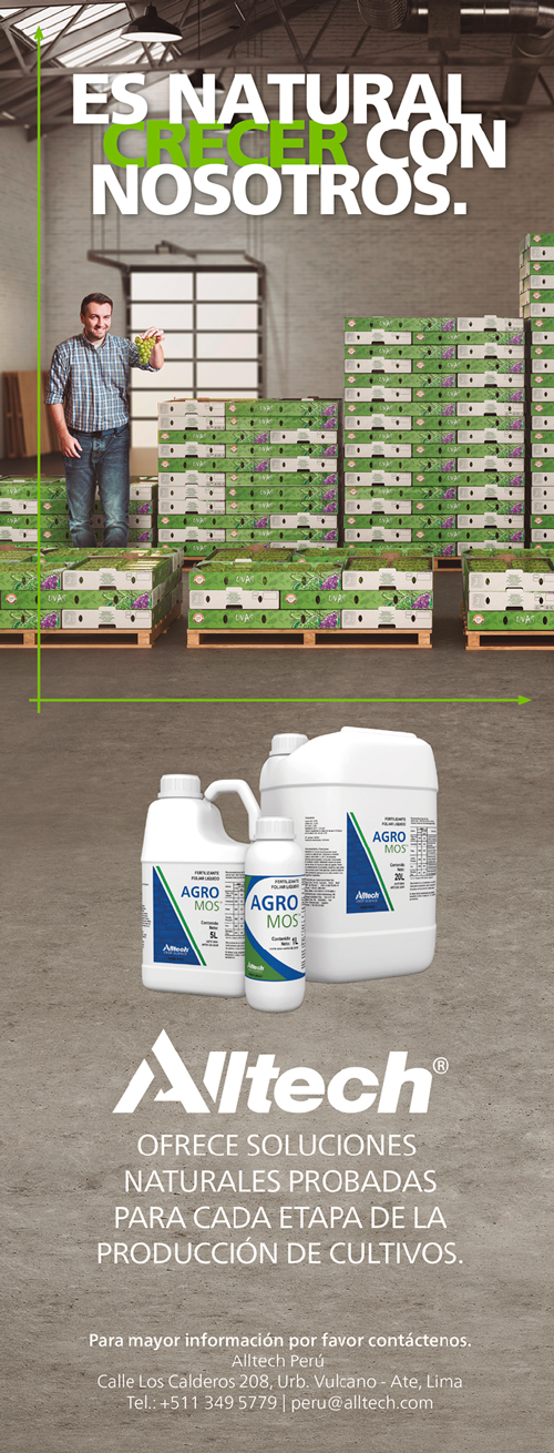 Arándanos y productos biológicos en tendencia - Redagrícola