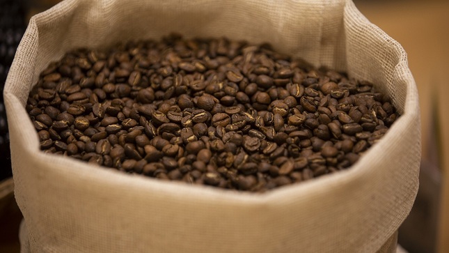 Anuncian nueva variedad de café: Castillo 2.0 será presentada en el ...