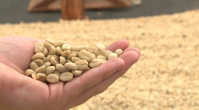 En Colombia usan tecnología blockchain para trazar la ruta de cada ...