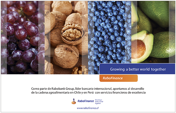 Gestión estratégica de la deshidratación del escobajo en uva de mesa ...