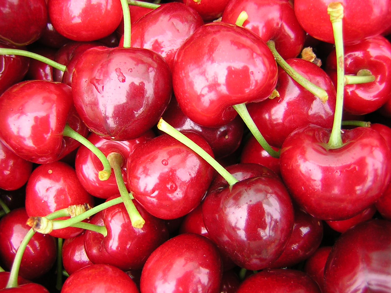 La producción mundial de cereza superaría los 4 millones de toneladas ...