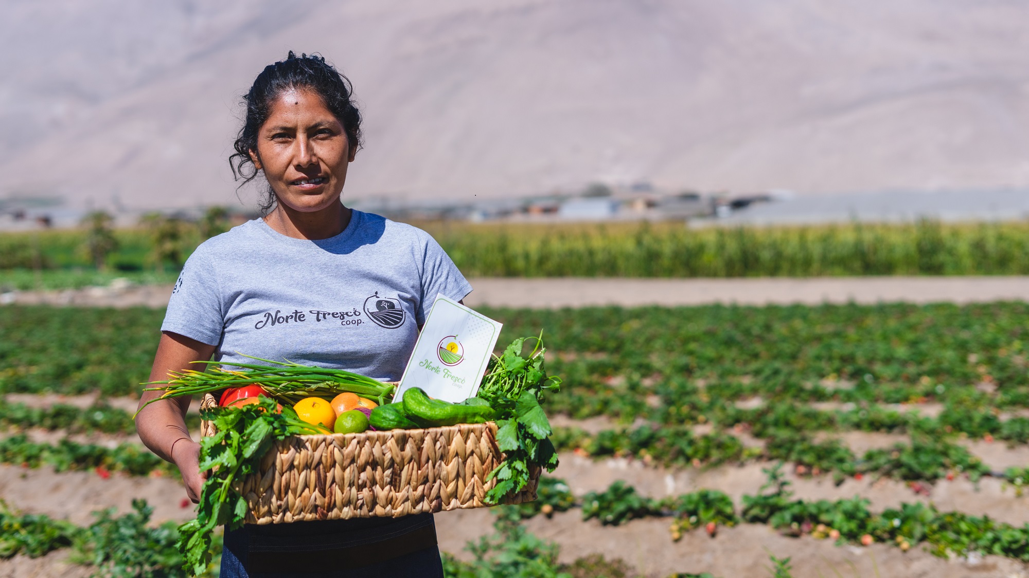 Conociendo a Ascophyllum nodosum - Redagrícola