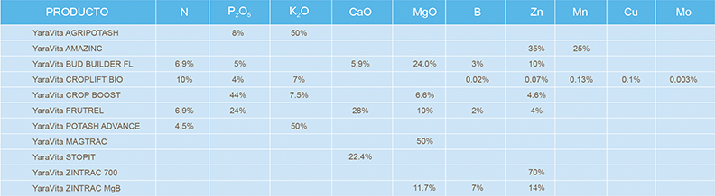 Aguacate Hass: curso abordará las claves para asegurar la calidad de la fruta de exportación