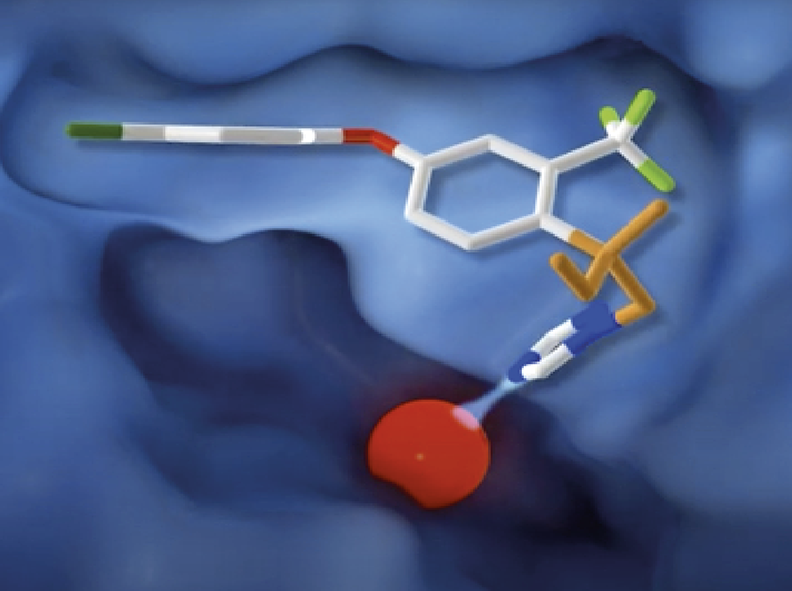 Revysol® Una solución innovadora para la protección contra enfermedades ...