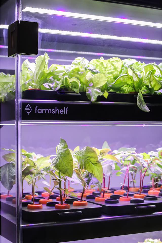 Farmshelf: La 'startup' que ofrece un sistema de autocultivos en casa ...