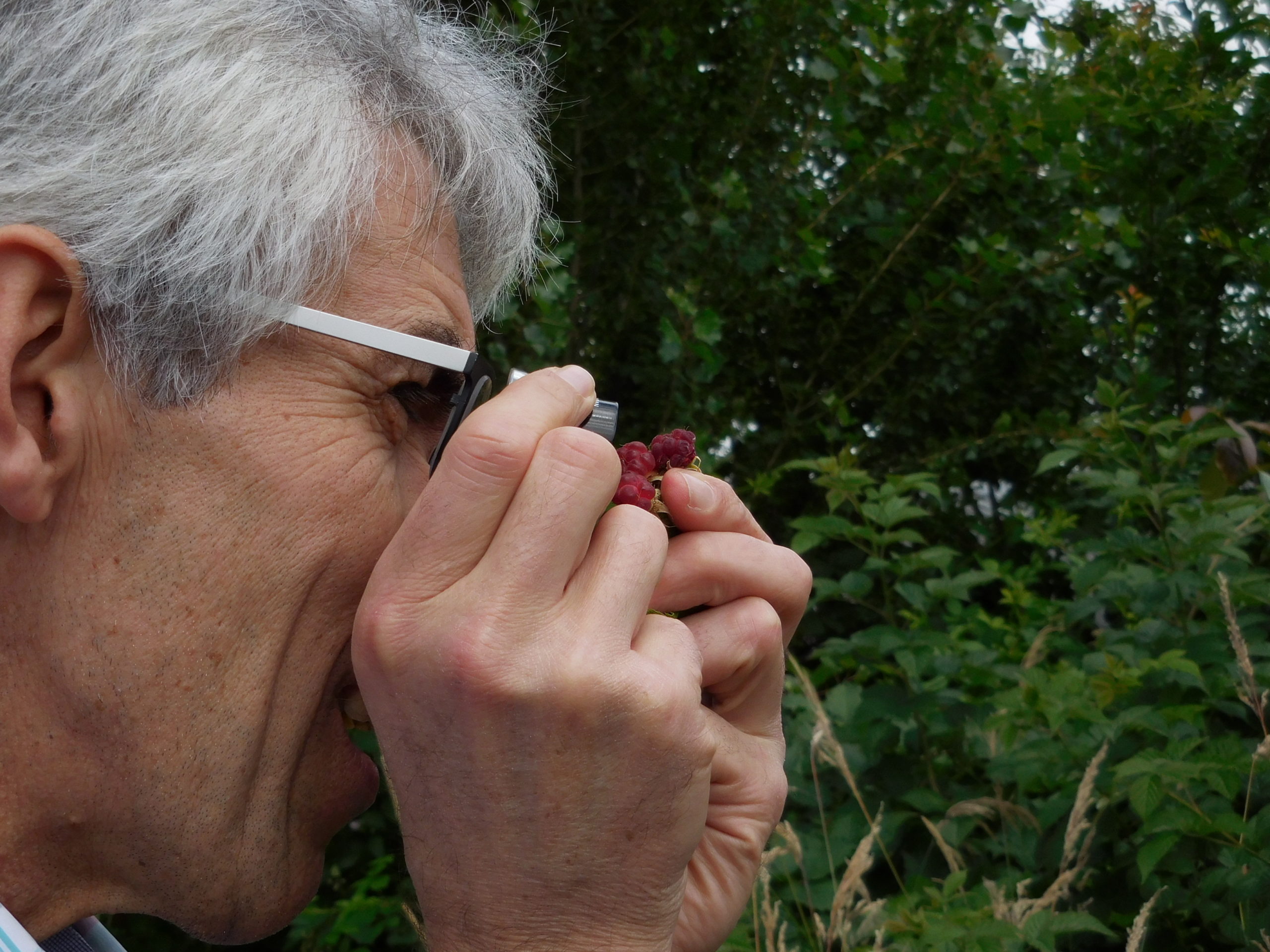 Revysol® Una solución innovadora para la protección contra enfermedades ...