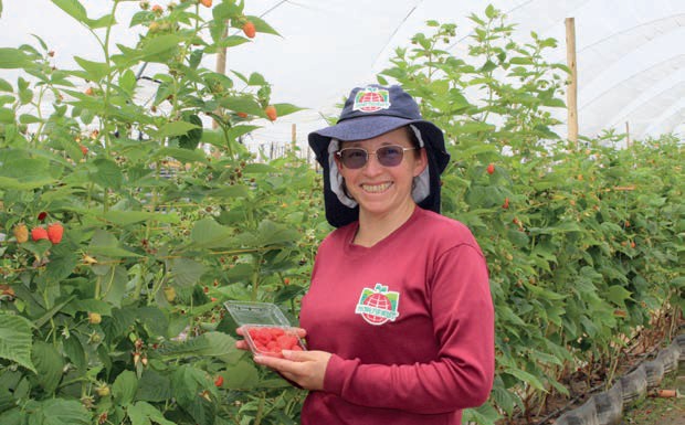 Hortifrut Colombia, con el firme objetivo de exportar arándanos todo el ...