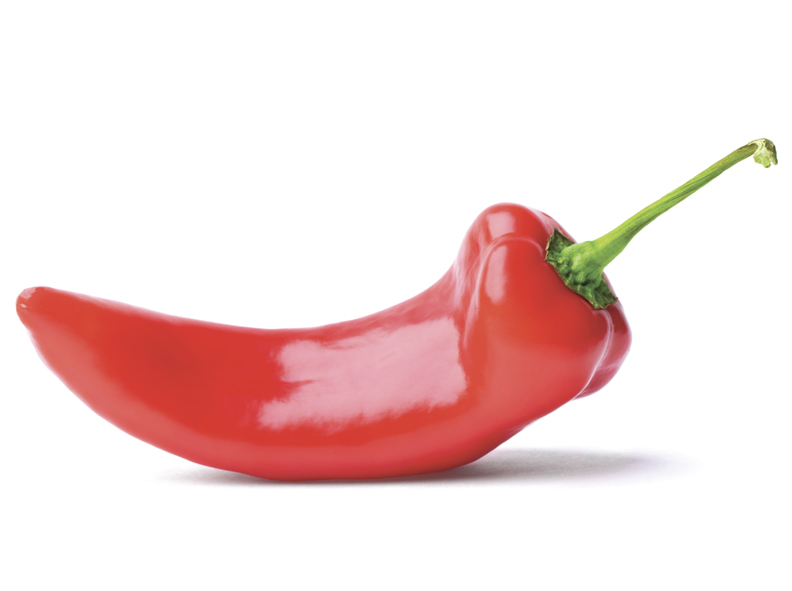 Capsicum Archives - Redagrícola