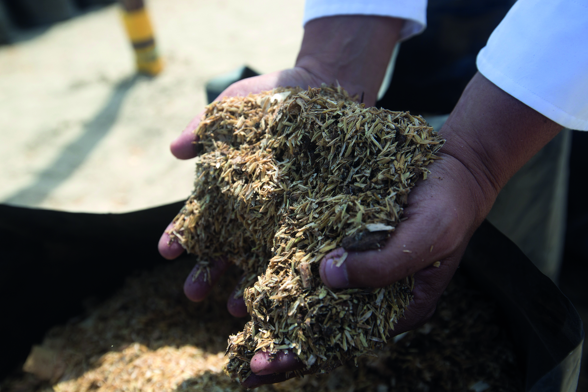 Grupo italiano Arrigoni presentará soluciones de impacto cero frente a ...