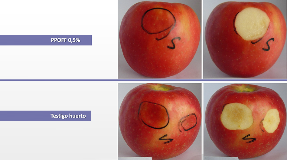 Ppoff Apple, una eficaz herramienta contra los machucones en manzanas ...