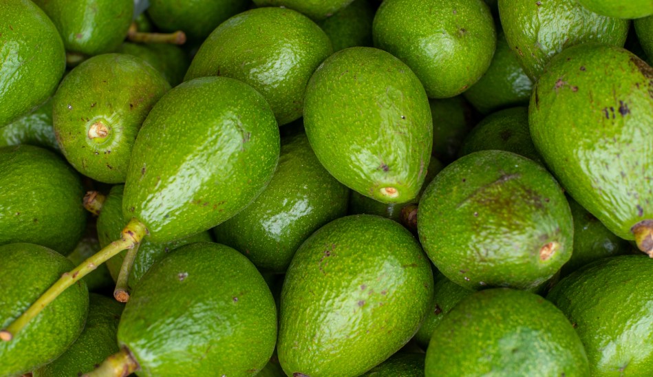 Estudio revela métodos para mantener la calidad en distintas variedades ...