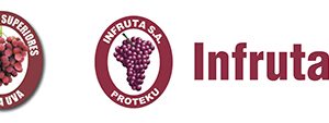 PROTEKU Grape Guards máxima protección a la uva peruana de exportación - Redagrícola