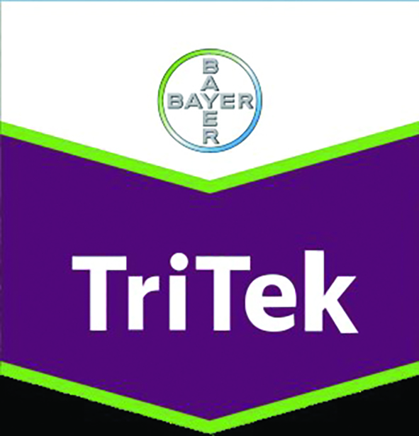 La batalla contra los hongos tiene un aliado - Redagrícola