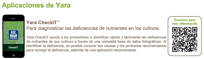 Aguacate Hass: curso abordará las claves para asegurar la calidad de la fruta de exportación