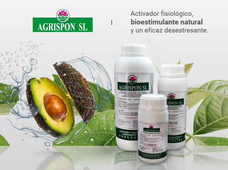 Agrispon SL contribuye a mejorar la calidad de la cosecha