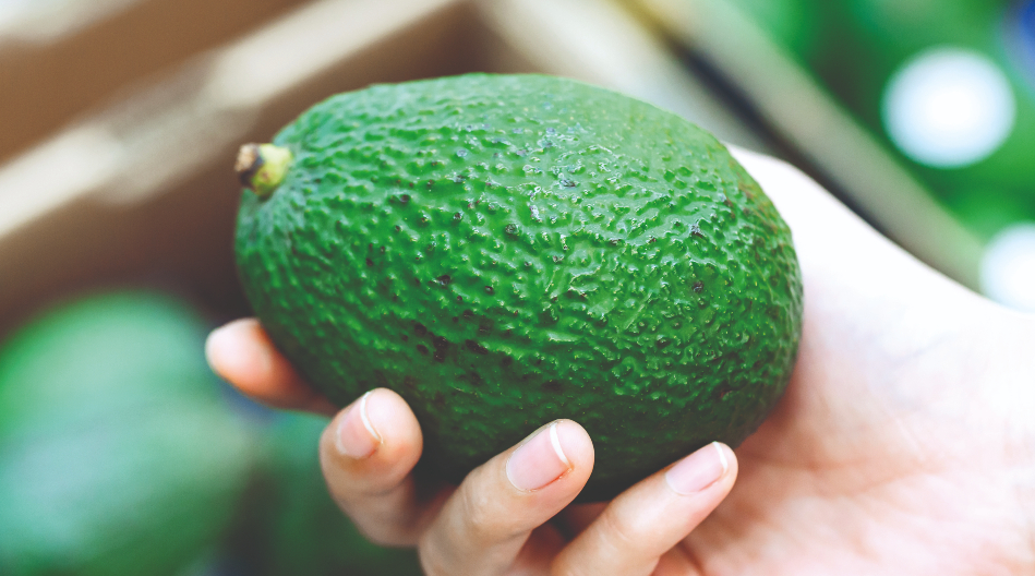 ¡Es el momento del Hass colombiano! - Redagrícola