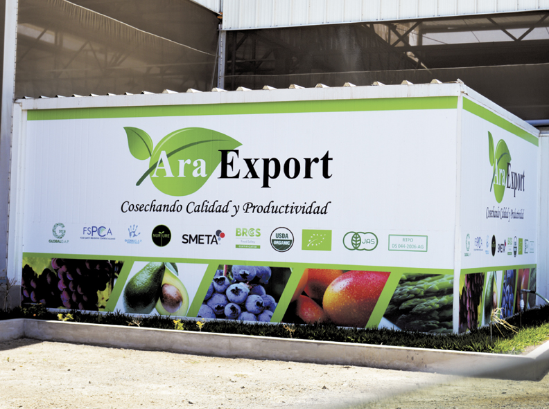 Ara Export fortalece su capacidad logística y garantiza calidad de mango - Redagrícola