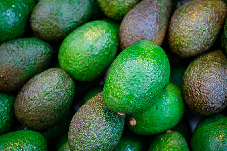 Investigadores peruanos crean recubrimiento natural para conservar ...