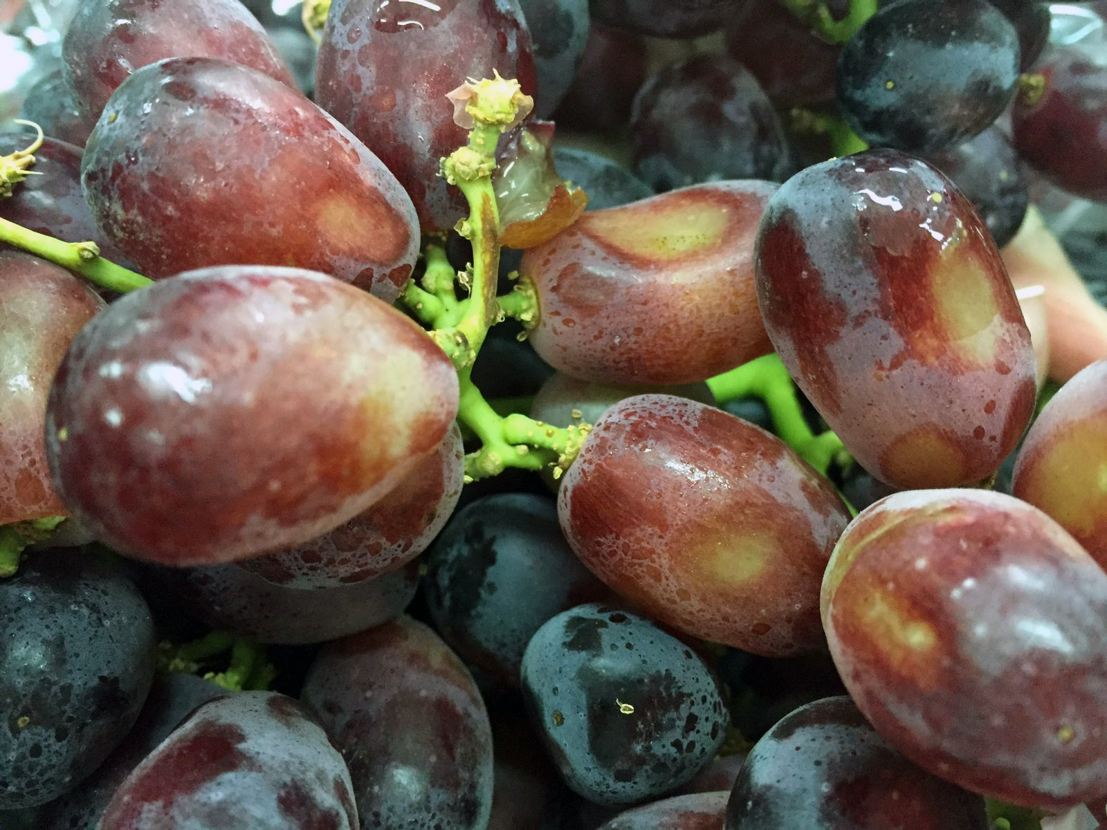 SO2 y las claves para una adecuada conservación de la uva de mesa ...