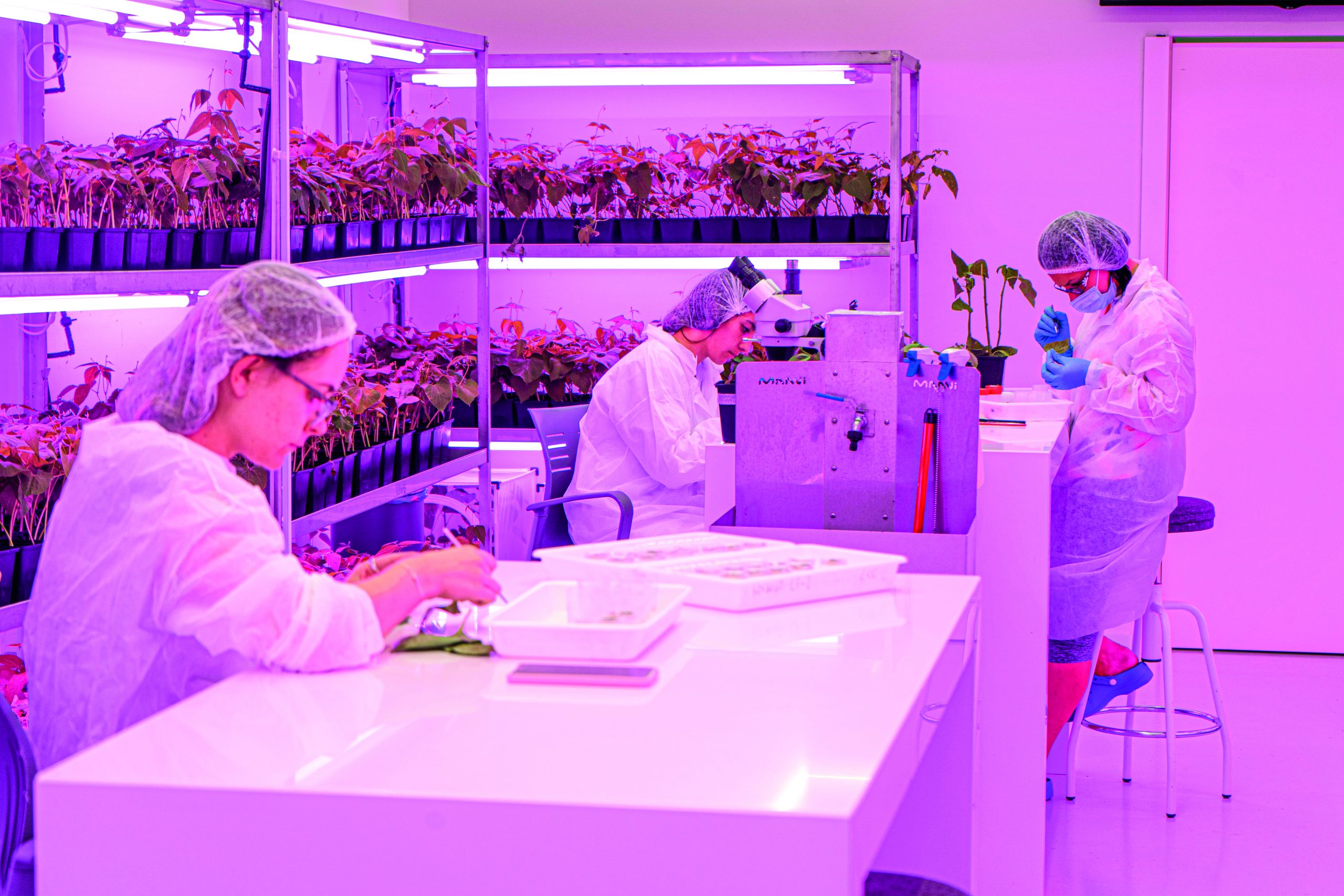 Kimitec, con el objetivo de impactar a toda la cadena alimentaria ...