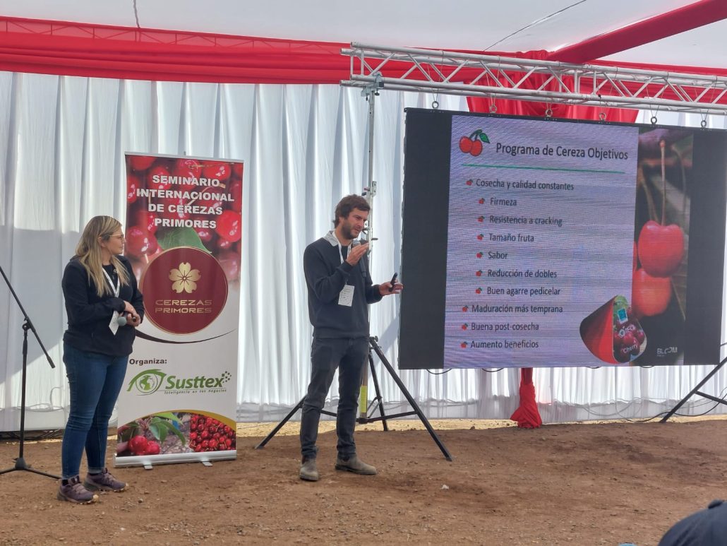 Bloom Fresh debuta con sus variedades ultra tempranas en Ovalle ...