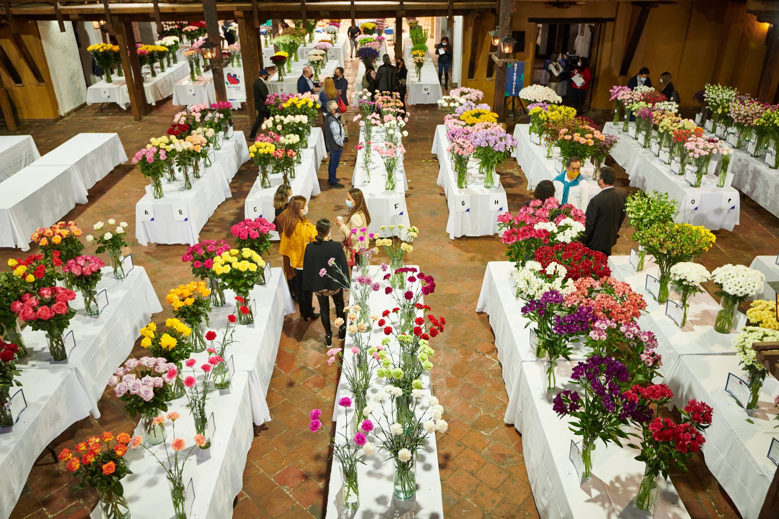 Actualizados Archives - Redagrícola