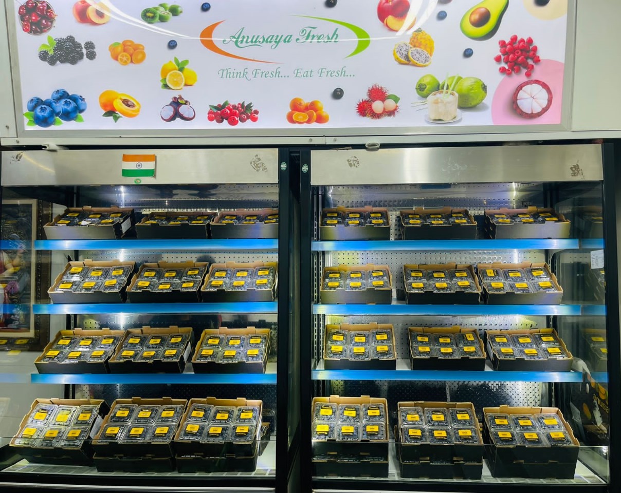 Inka´s Berries exporta por primera vez arándanos a la India - Redagrícola