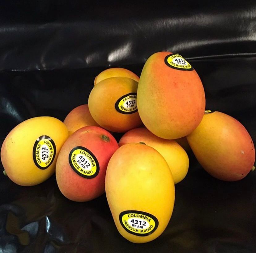 Las oportunidades del mango de azúcar en el exterior - Redagrícola