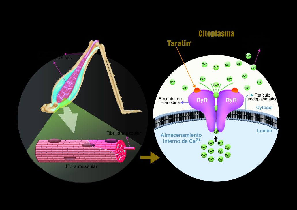 Taralin® un producto de poderosa acción y un control superior - Redagrícola
