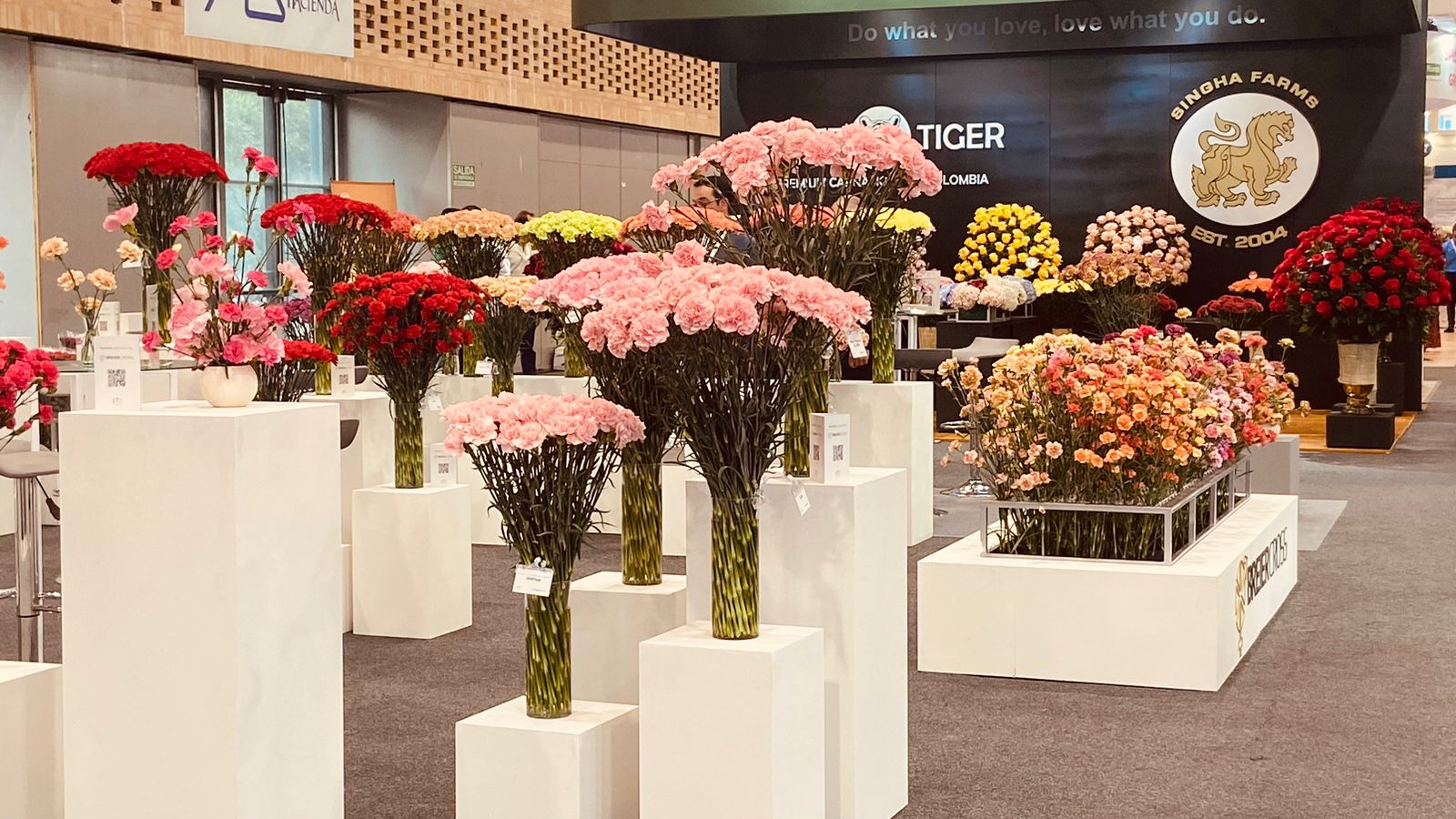 En Bogotá abre sus puertas Proflora, la feria dedicada al negocio de ...