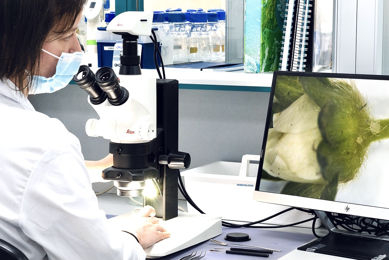 Futureco Bioscience impulsa la innovación agrícola en México - Redagrícola