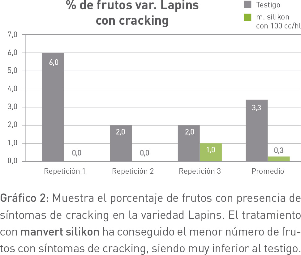 Reduce la incidencia de partidura con una solución de silicio ...