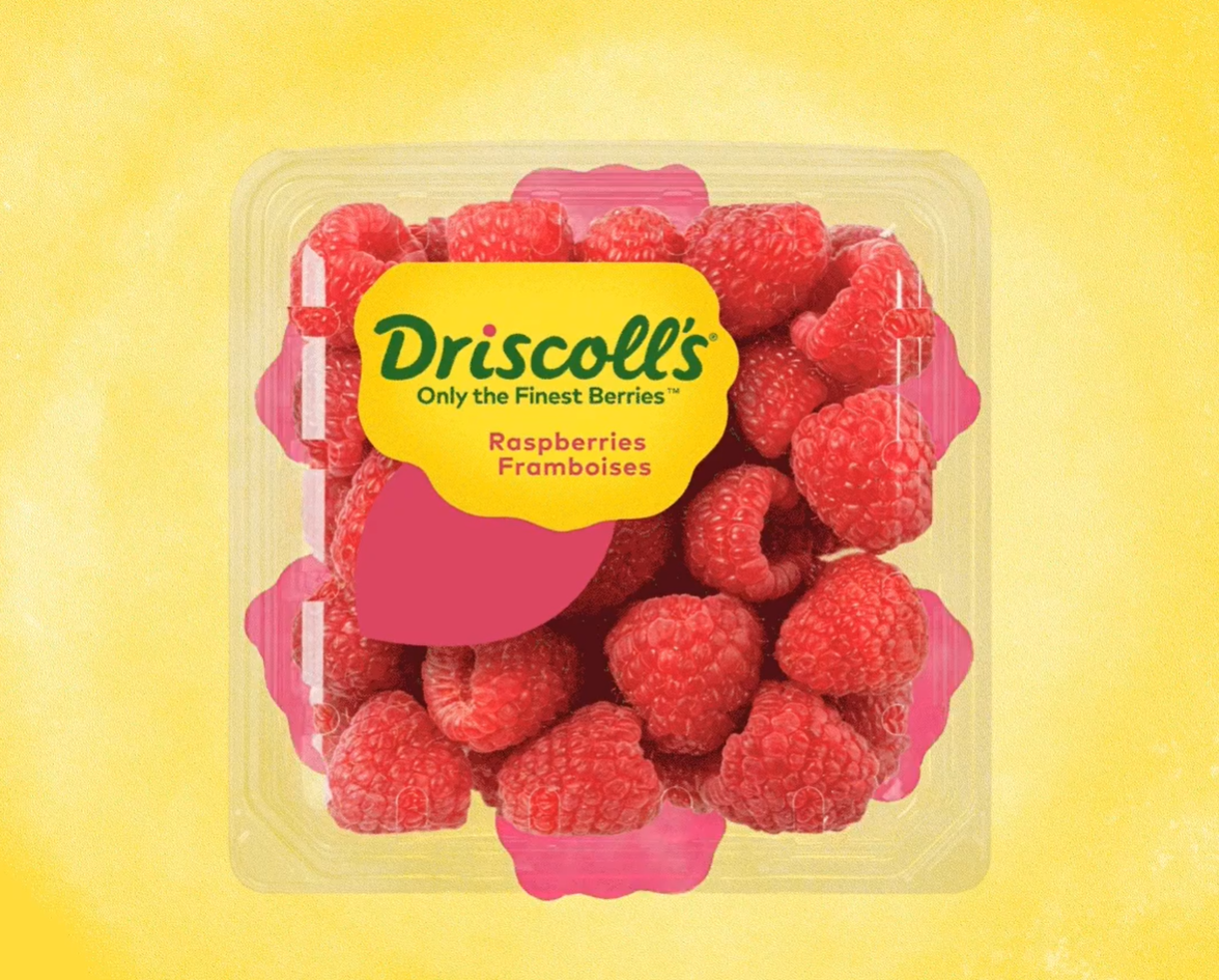 Driscoll’s abre segundo centro frigorífico en Jalisco, ya suma 16 en ...