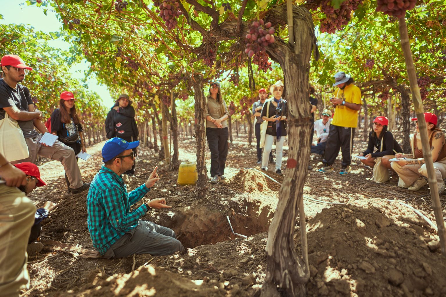 Forward Farming: estudiantes de agronomía asistieron a campo ...