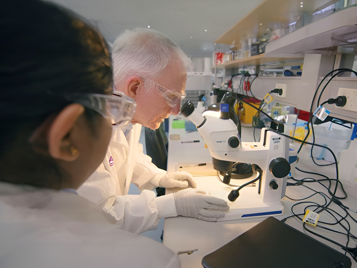 La caña de azúcar y su genoma: un estudio revolucionario