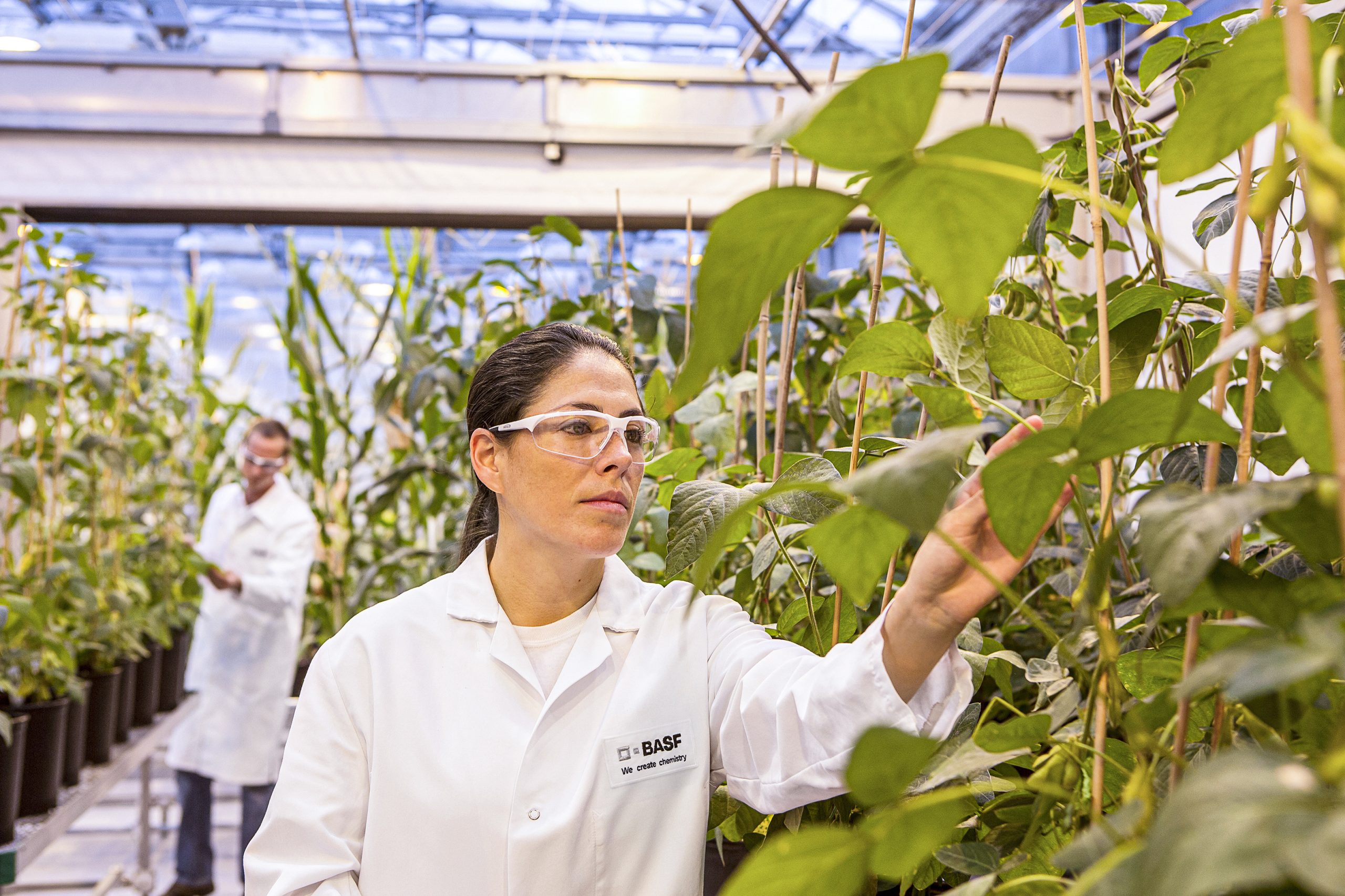 BASF escoge a Cytoperu como distribuidor exclusivo para el sector ...