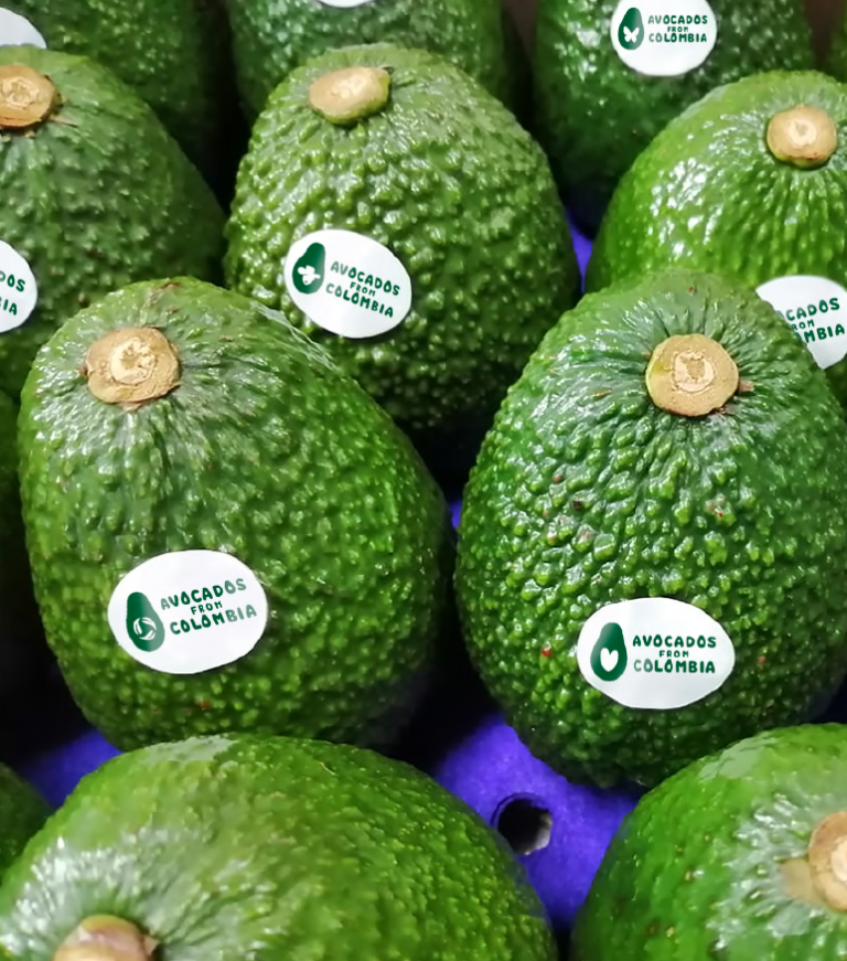 Aguacates de Colombia | Avocados from Colombia: Una marca sostenible
