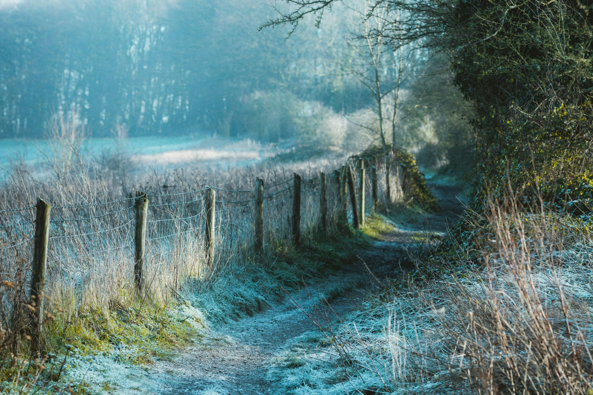 Fenómeno de La Niña: lo que viene son heladas intensas y extensas ...