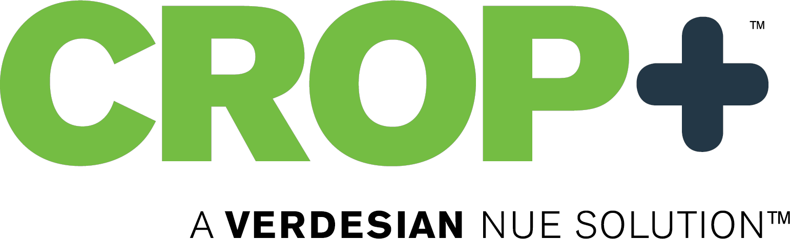 CROP+, el aliado nutricional para combatir el estrés abiótico de las ...