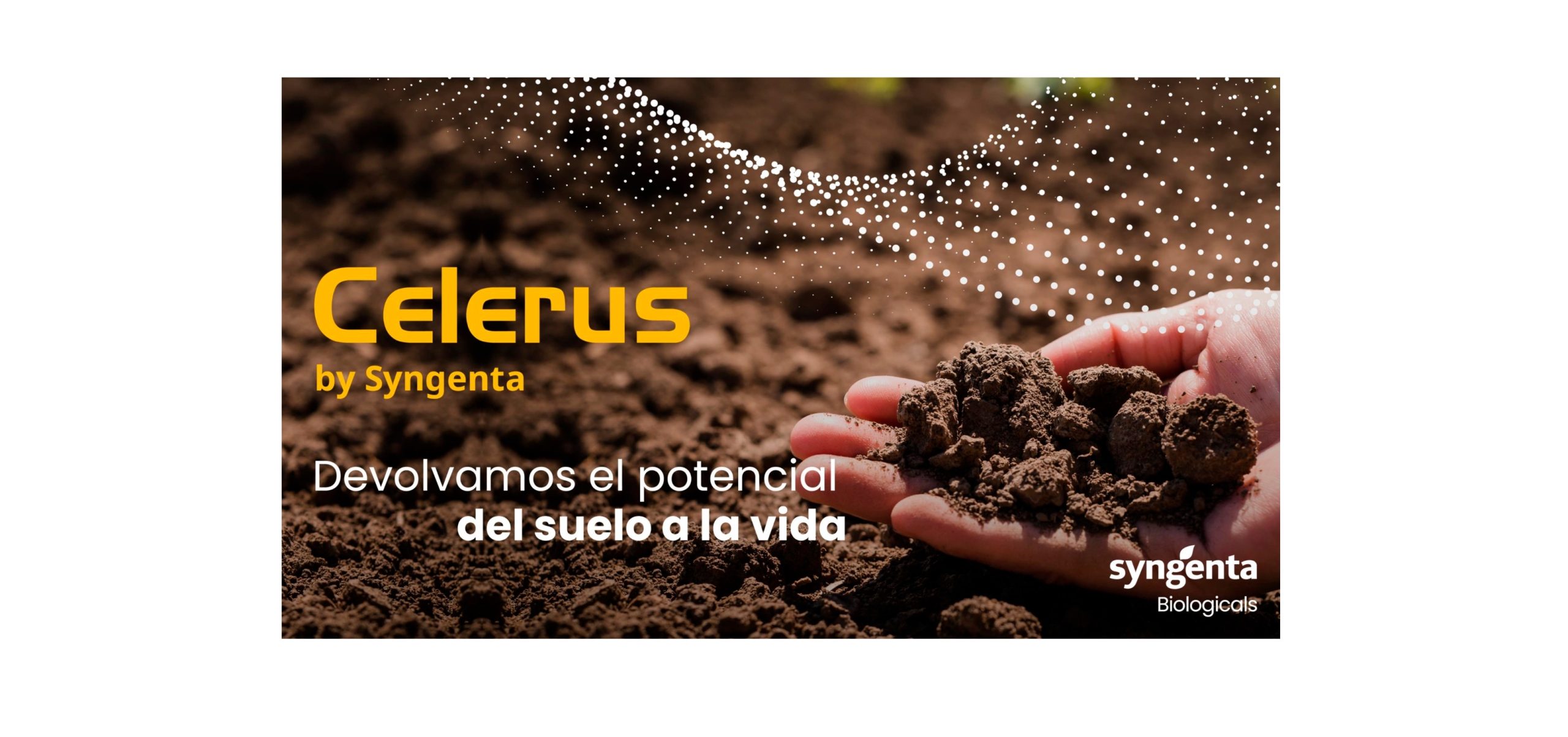 Celerus, el programa de Syngenta que busca devolverle la vida al suelo ...