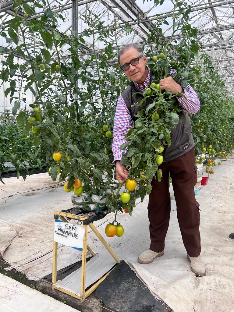 CROP+, el aliado nutricional para combatir el estrés abiótico de las ...