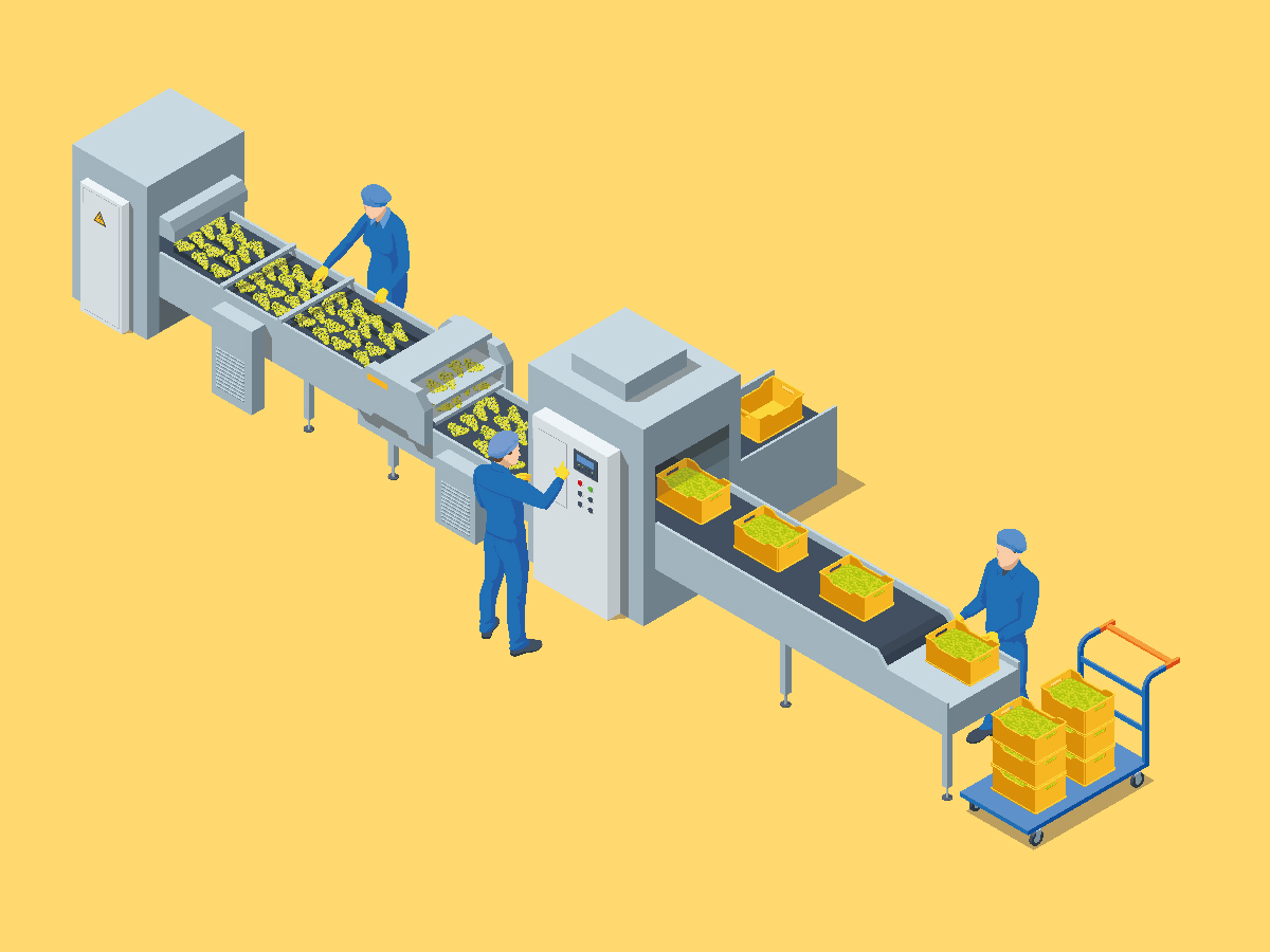 Tipos De Sistemas Autoportantes De Uva