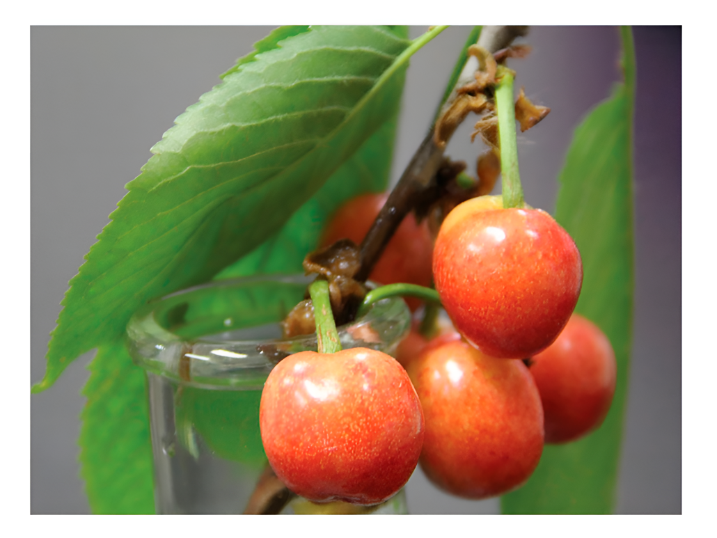 Cuando el color hace la diferencia - Redagrícola