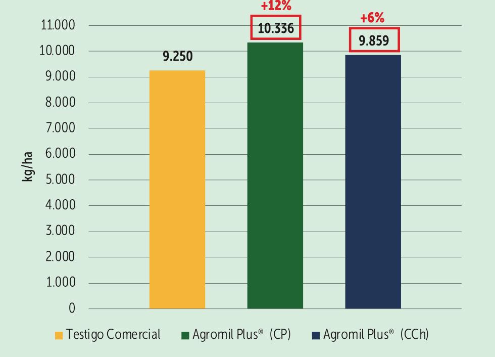 Agromil® Plus-Cerezo, un legado para conseguir un óptimo calibre y una ...