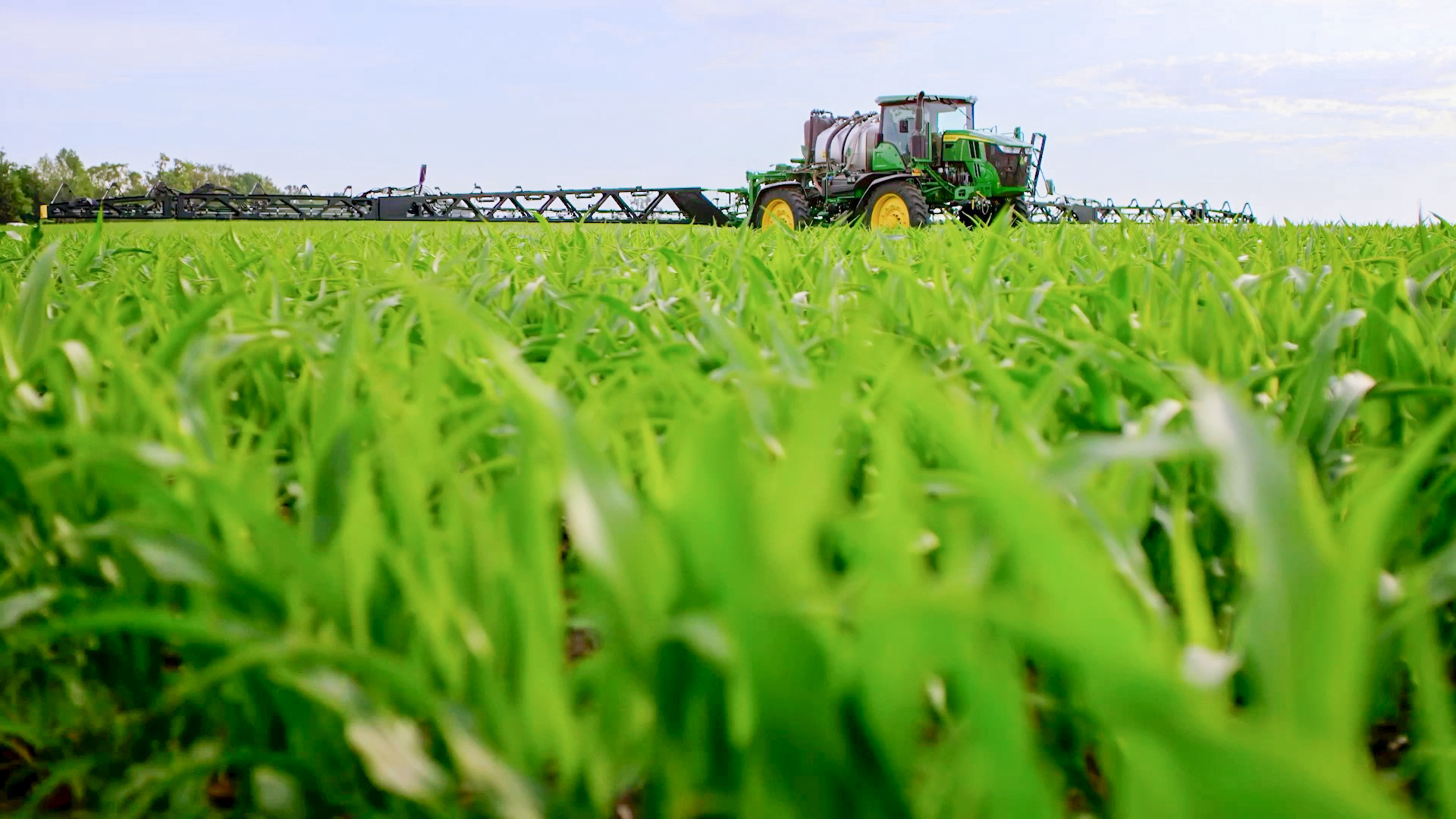 Beneficios de la robótica e IA en el agro: Innovación peruana - Redagrícola