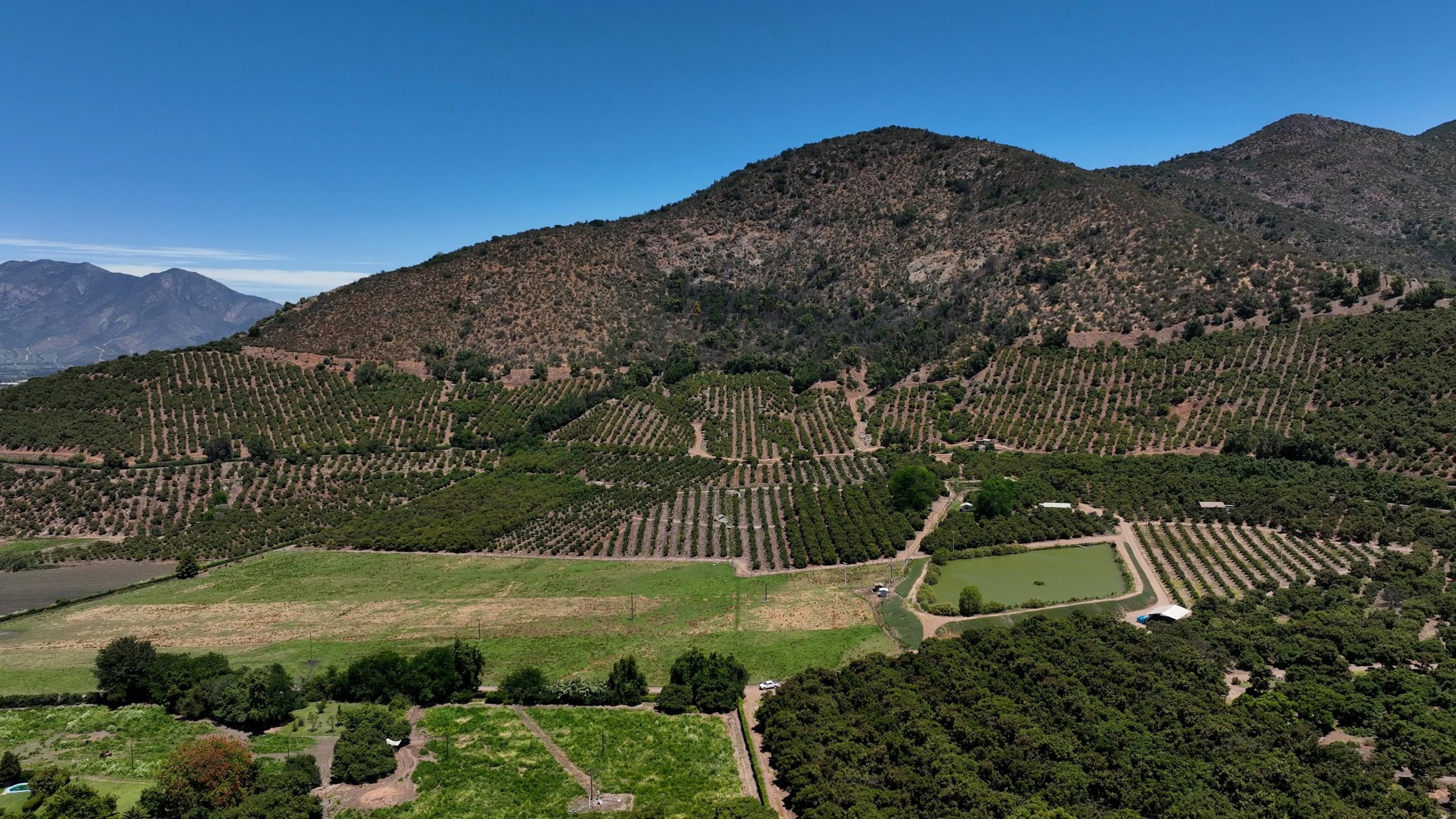 Innovak Global desarrolla su 'modelo Innovak' entre los productores de ...