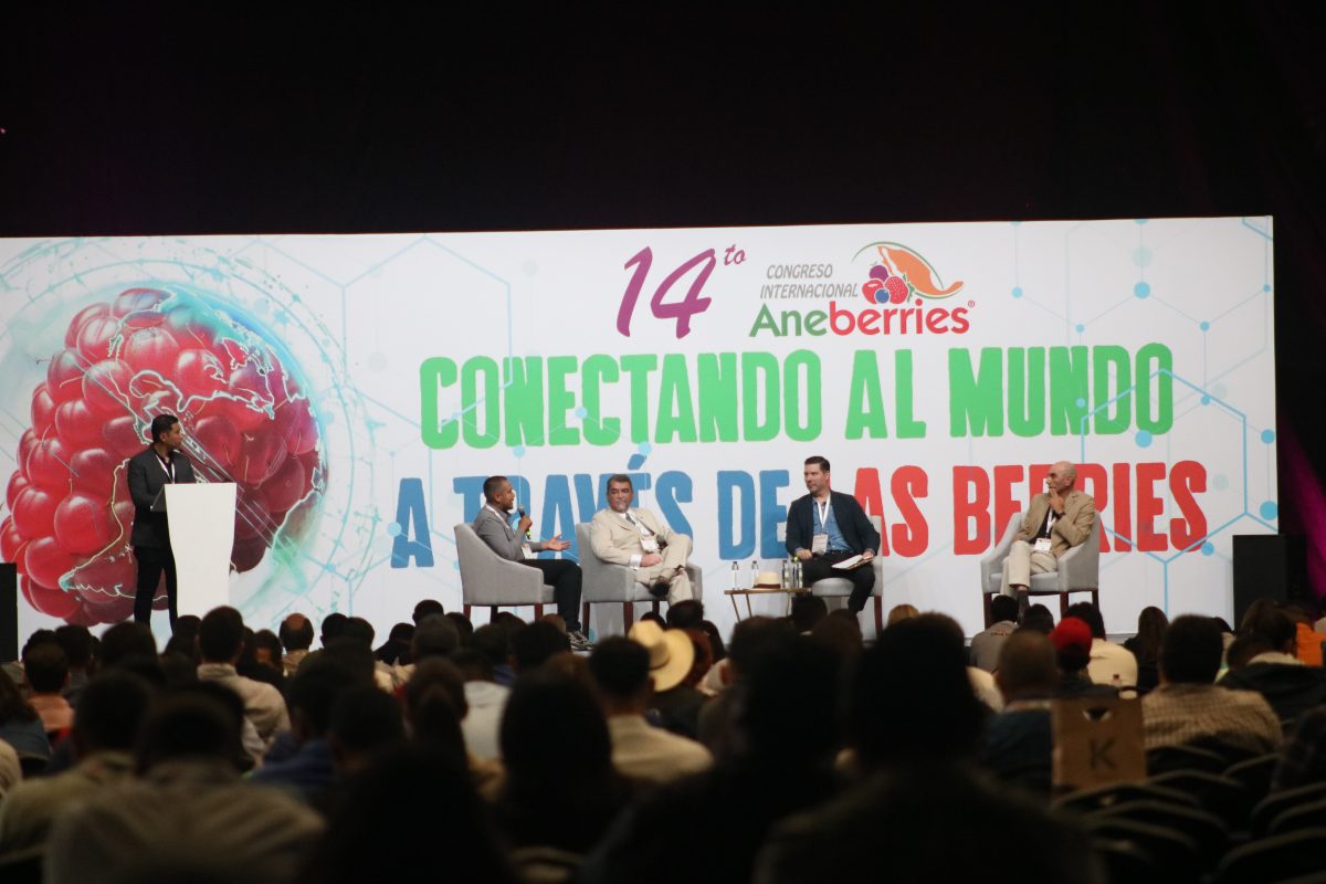 Congreso Aneberries pone el foco en el comercio, la inocuidad y la ...